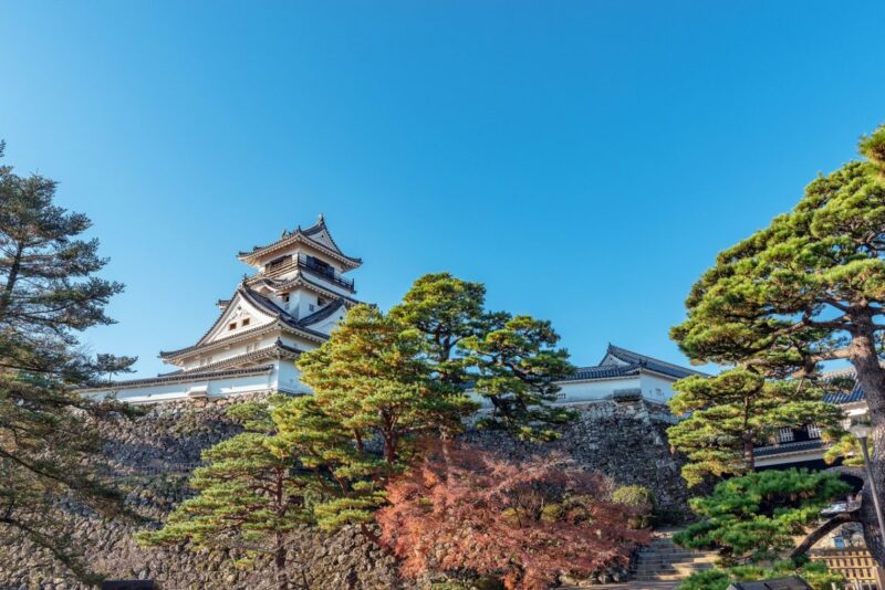 10 amazing things to do in Kochi, Japan! - fromJapan