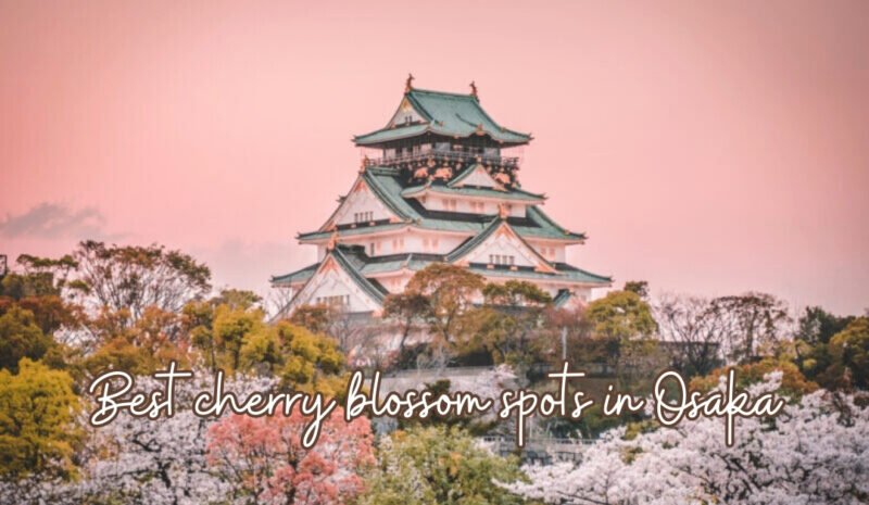 Best cherry blossom spots in Osaka - fromJapan