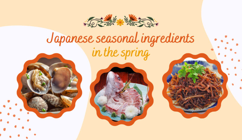 Japanese seasonal ingredients in the spring - fromJapan