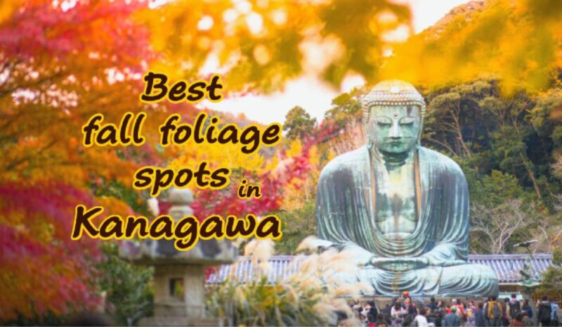 Best fall foliage spots in Kanagawa - fromJapan