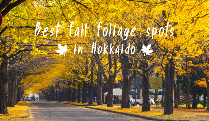 Best fall foliage spots in Hokkaido - fromJapan