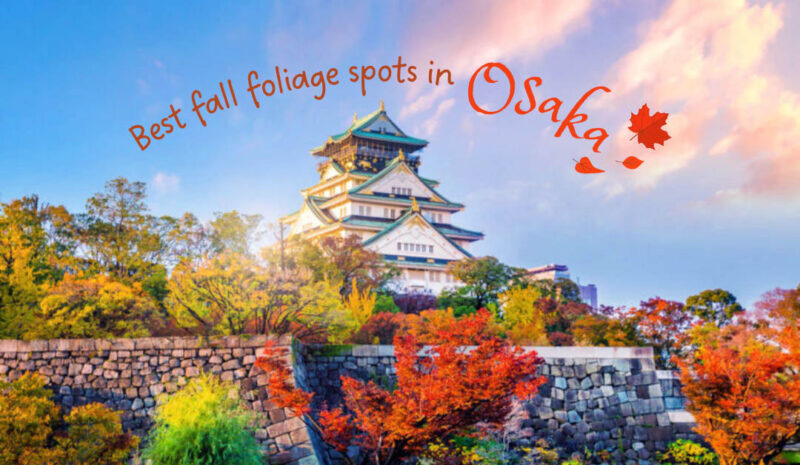 Best fall foliage spots in Osaka - fromJapan