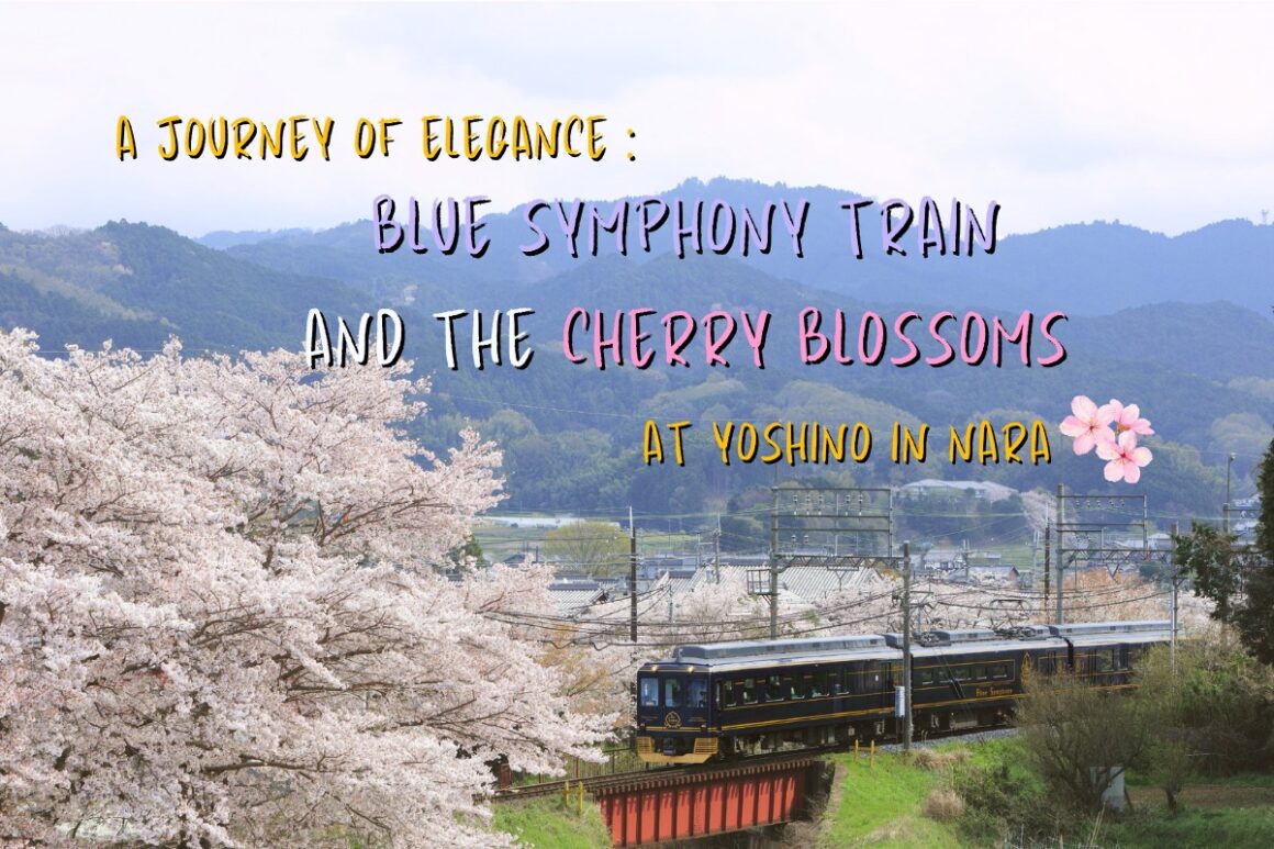 A Journey of Elegance: Blue Symphony Train and the Cherry Blossoms of ...