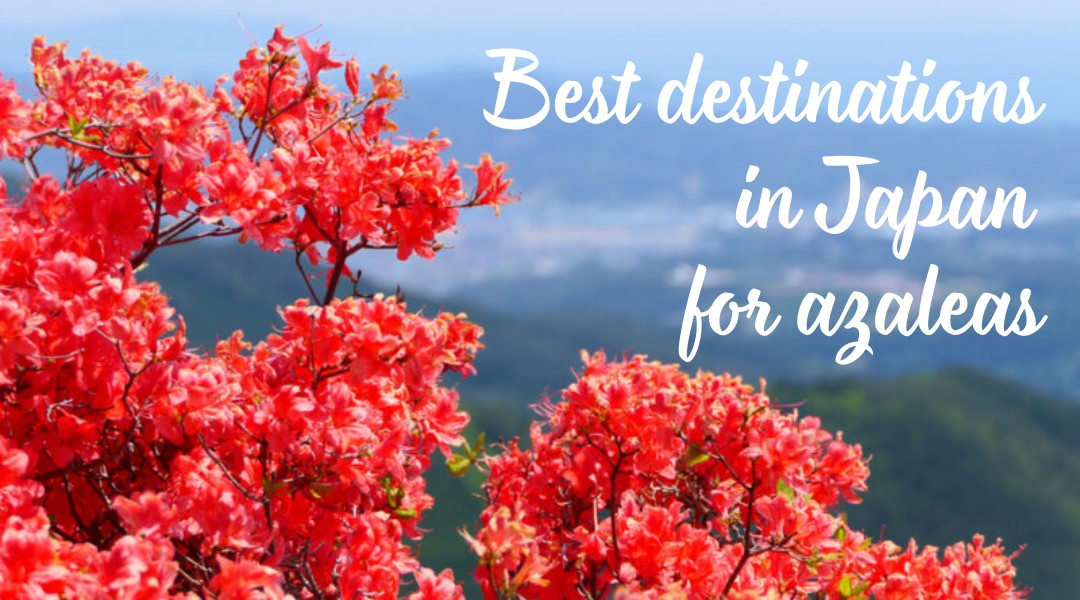 Best destinations in Japan for azaleas - fromJapan