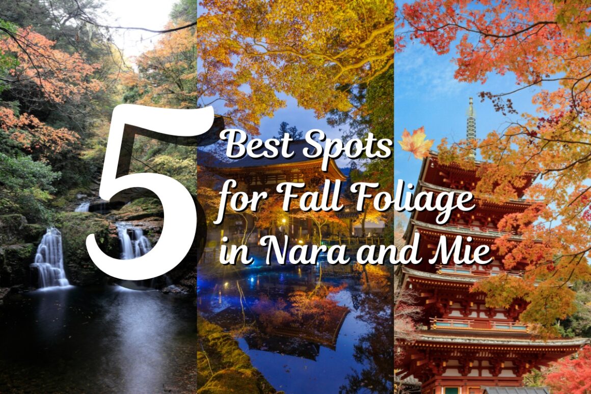 Five Best Spots for Fall Foliage in Nara and Mie - fromJapan