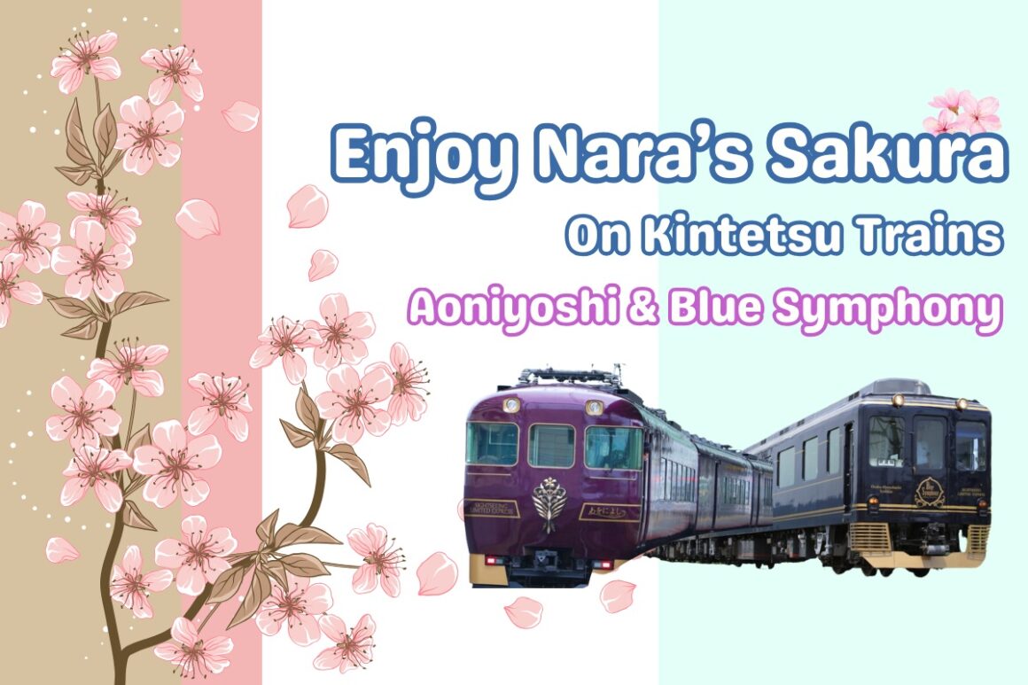 Enjoy Nara's cherry blossoms on Kintetsu sightseeing train : Aoniyoshi & Blue Symphony - fromJapan