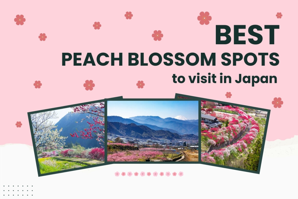 Best peach blossom spots to visit in Japan - fromJapan