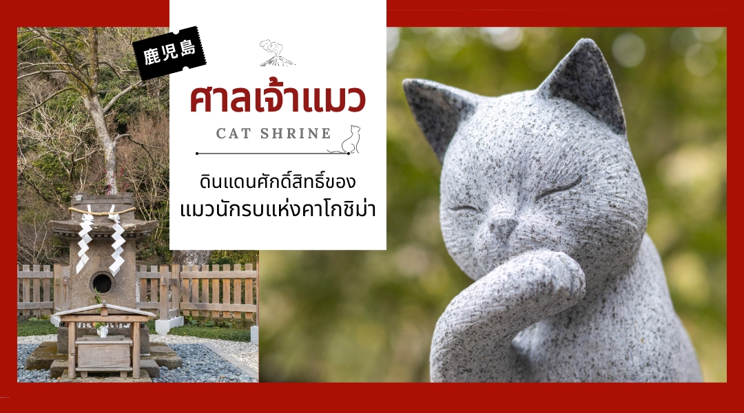 ศาลเจ้าแมว (Cat Shrine) ดินแดนศักดิ์สิทธิ์ของแมวนักรบแห่งคาโกชิม่า ...